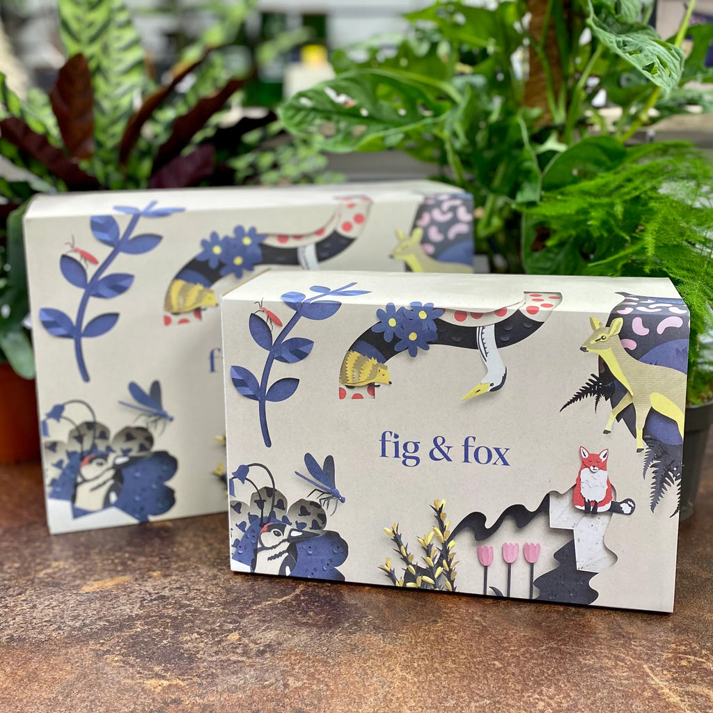 Relaxation Hamper – Fig & Fox