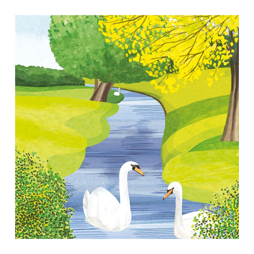 Swans Card – Fig & Fox