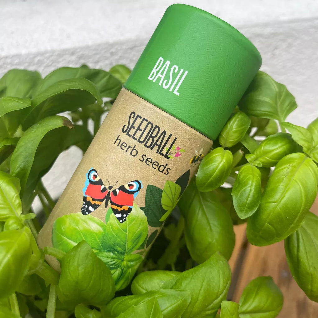 Herb Seedball Tube - Basil – Fig & Fox