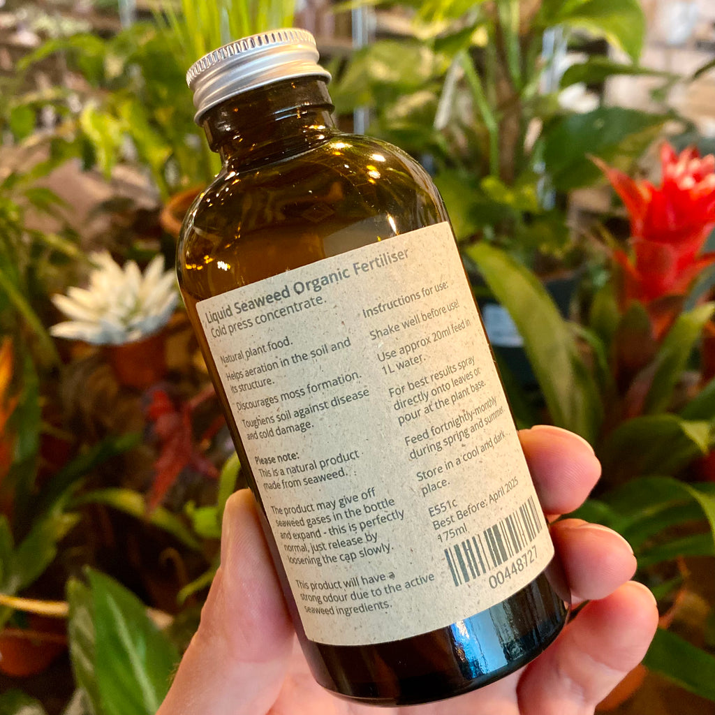 Plant Food 175ml – Fig & Fox