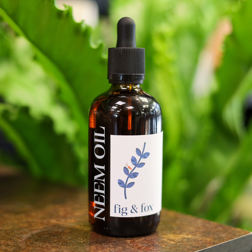 Neem Oil 100ml – Fig & Fox