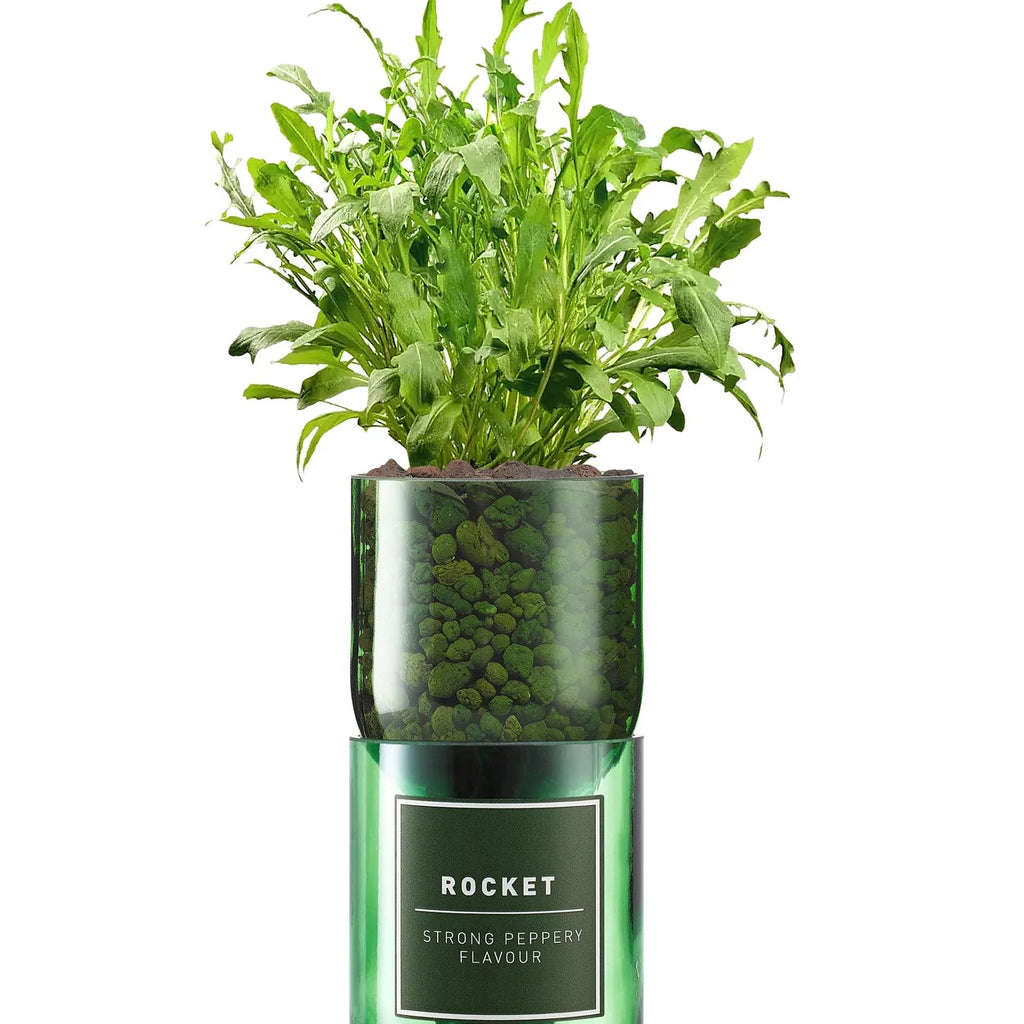 Rocket Hydro-herb kit – Fig & Fox