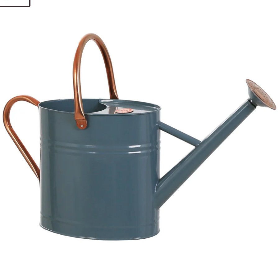 6L Blue Watering Can – Fig & Fox