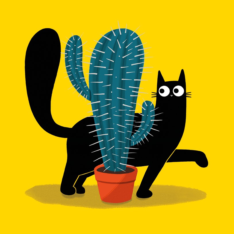 Cacti Cat Card – Fig & Fox